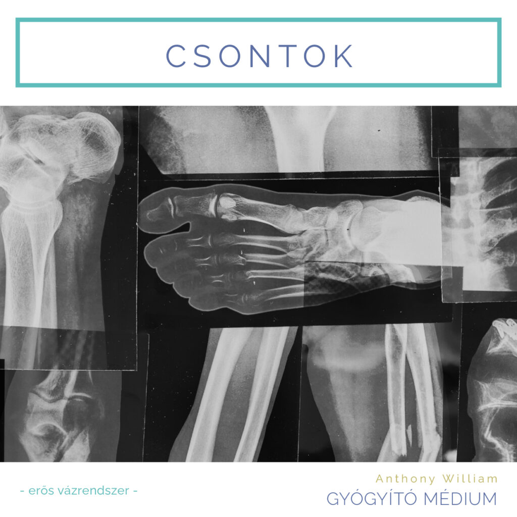 Csontok